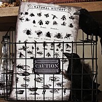 Mad Scientist Collection - Loralee Lewis, Inc.